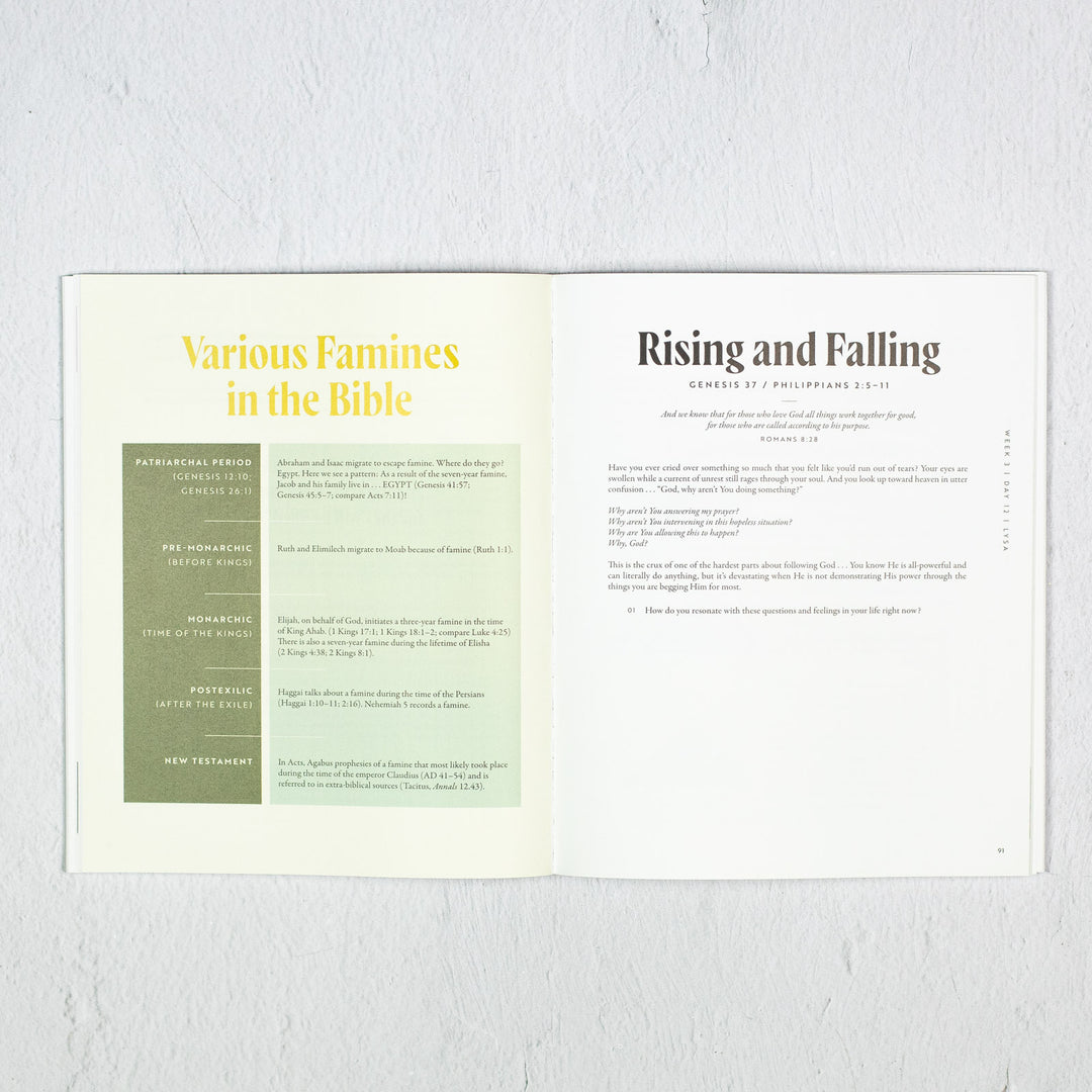 30 Days with Jesus – P31 Bookstore