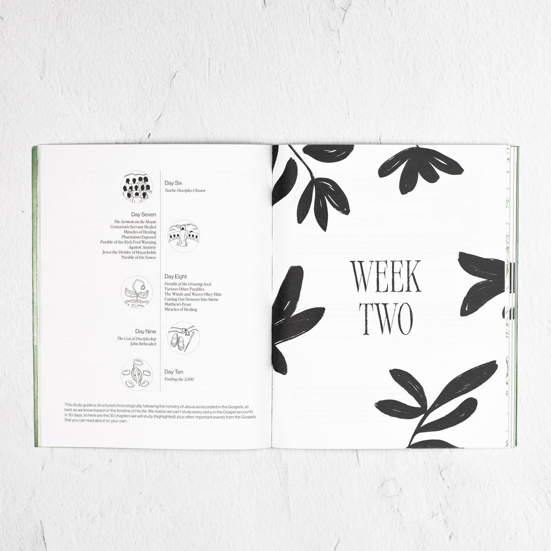 Good News Study Guide – P31 Bookstore