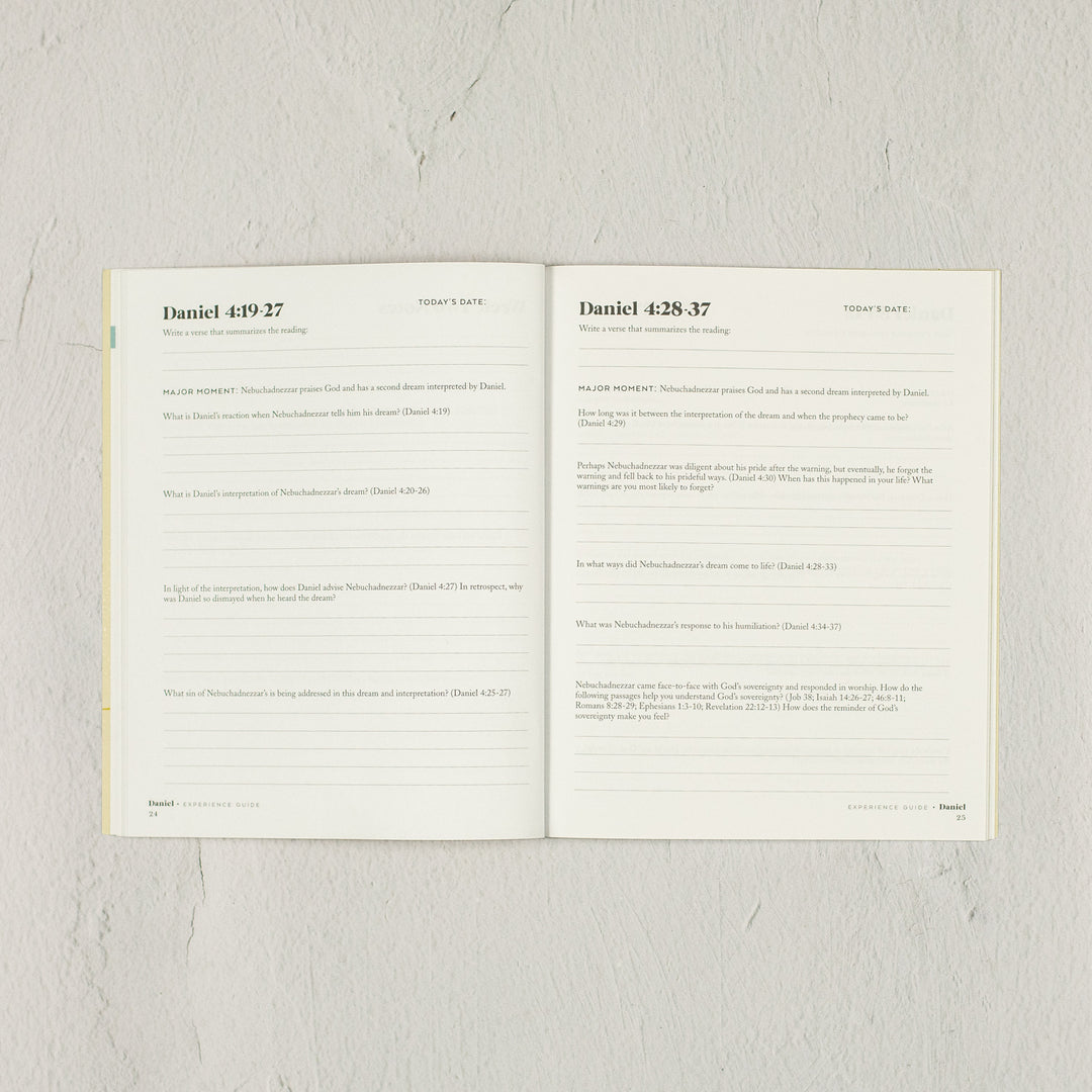 Daniel: Holding Firm in the Face of Fear Experience Guide – P31 Bookstore