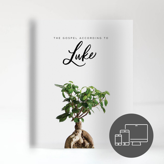 The Gospel of Luke Experience Guide (DIGITAL VERSION) – P31 Bookstore