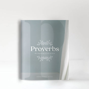 Proverbs: The Beginning of All Wisdom Experience Guide – P31 Bookstore