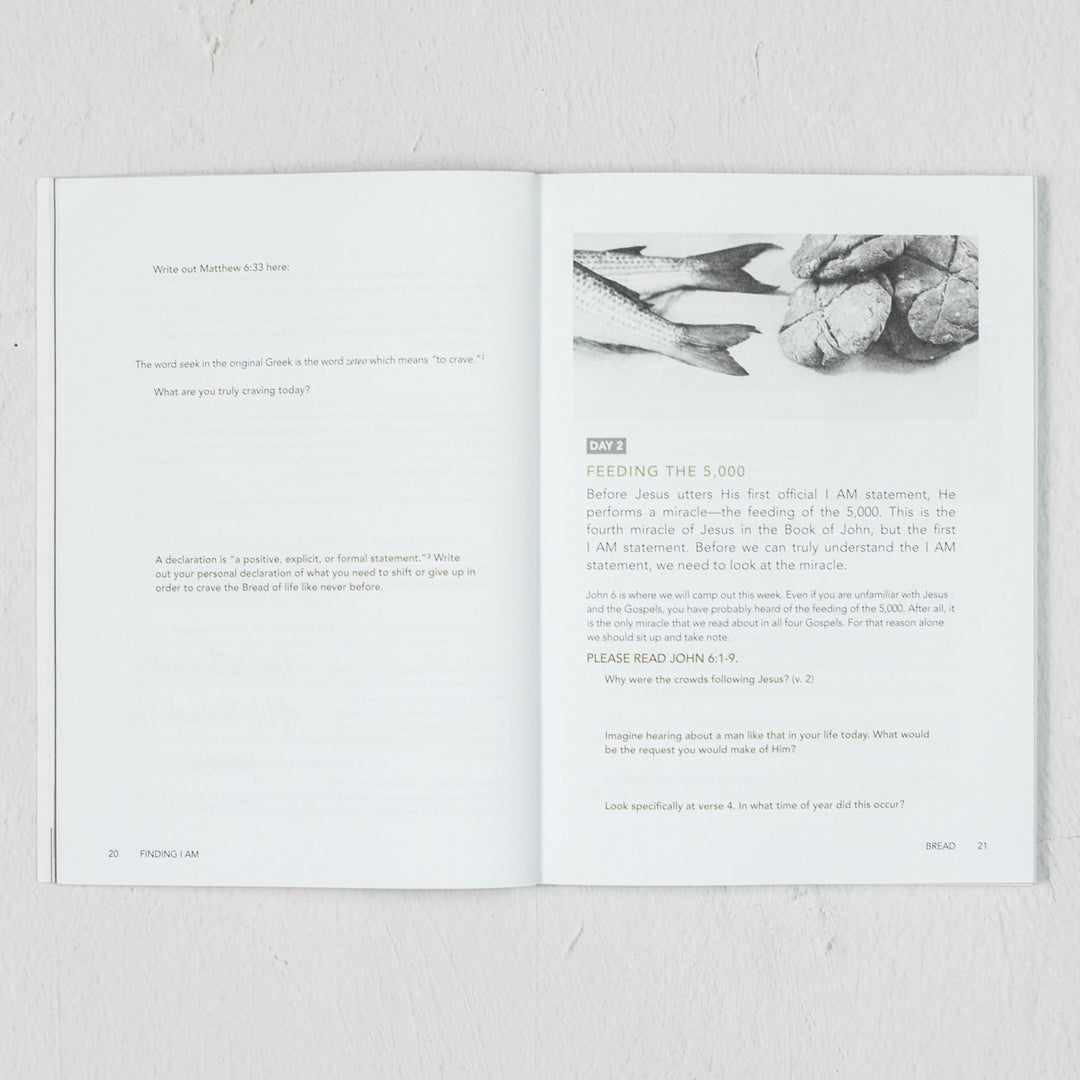 Finding I AM - Bible Study Book with Video Access – P31 Bookstore