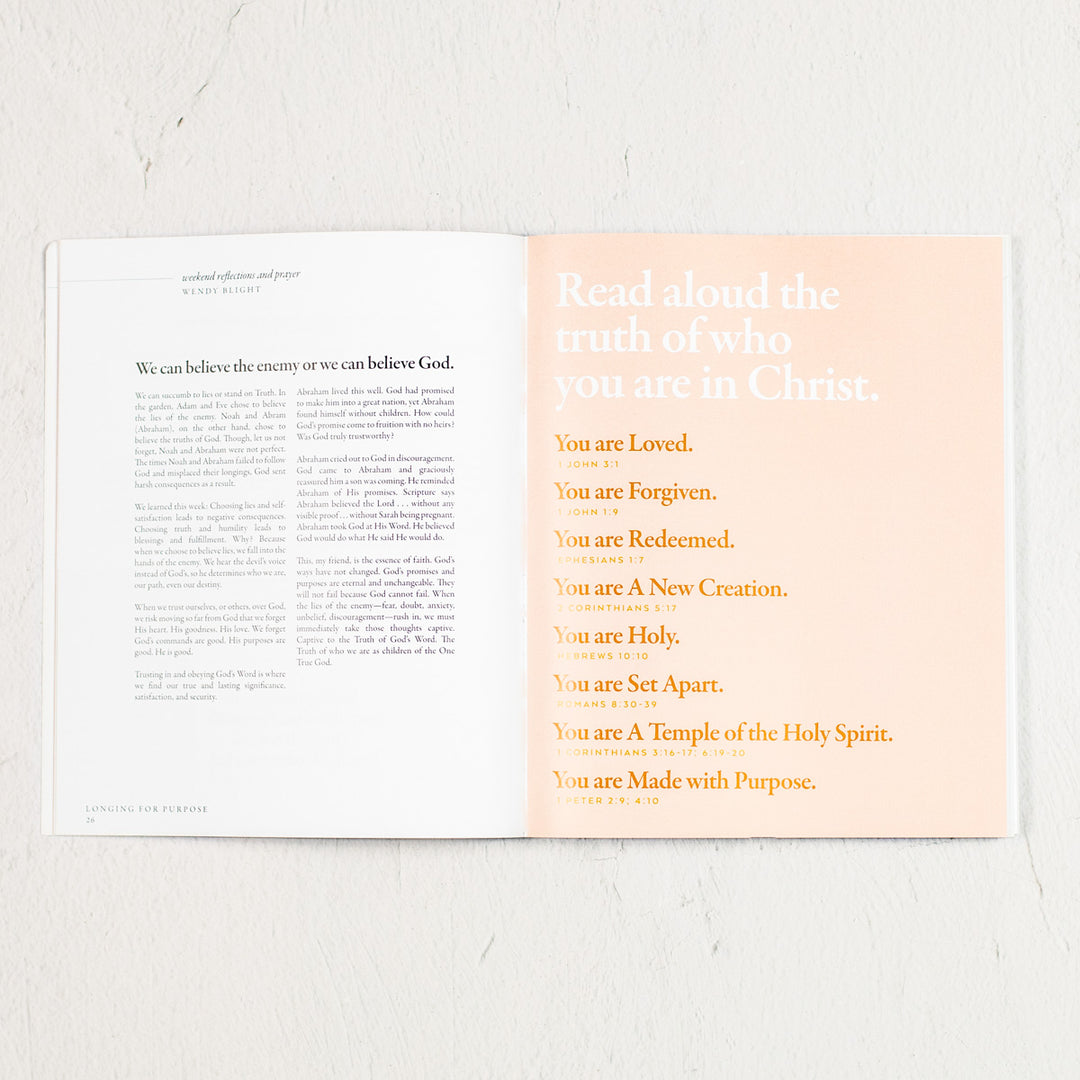 40 Days Through the Bible – P31 Bookstore