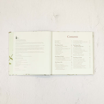 The Ology – P31 Bookstore