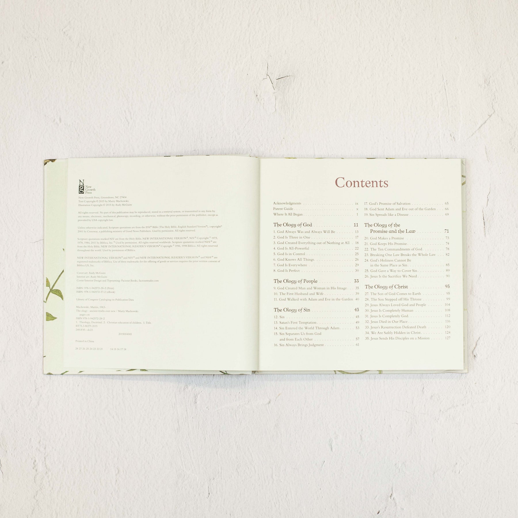 The Ology – P31 Bookstore